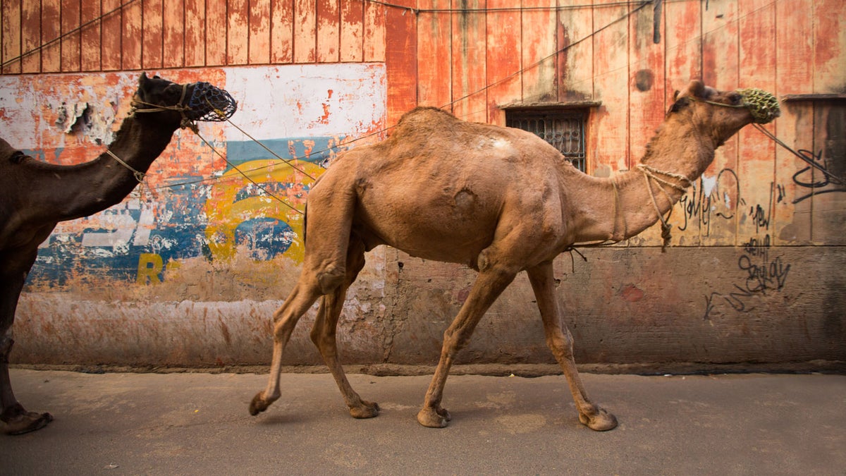 A Year in the Life of Pro Photographer Emily Polar - Outside Online
