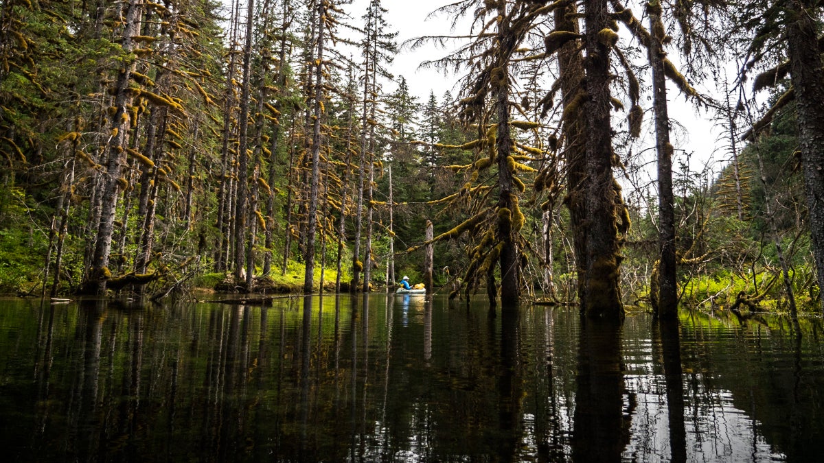 Exploring British Columbia’s Most Beautiful and Most Threatened Watershed