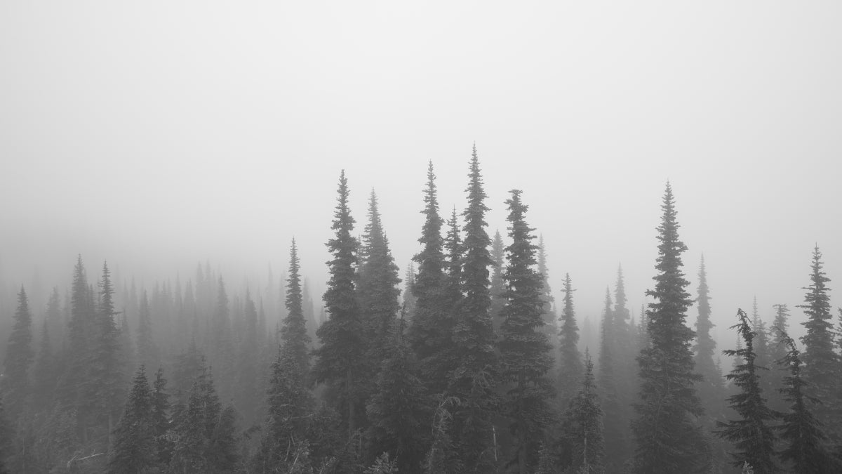 National Parks “Under Threat” from Air Pollution