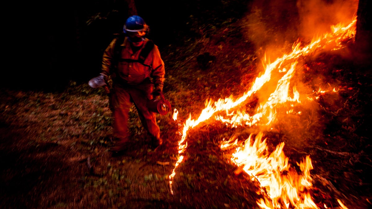 California in Flames: The Most Chilling Wildfire Photos We’ve Ever Seen ...