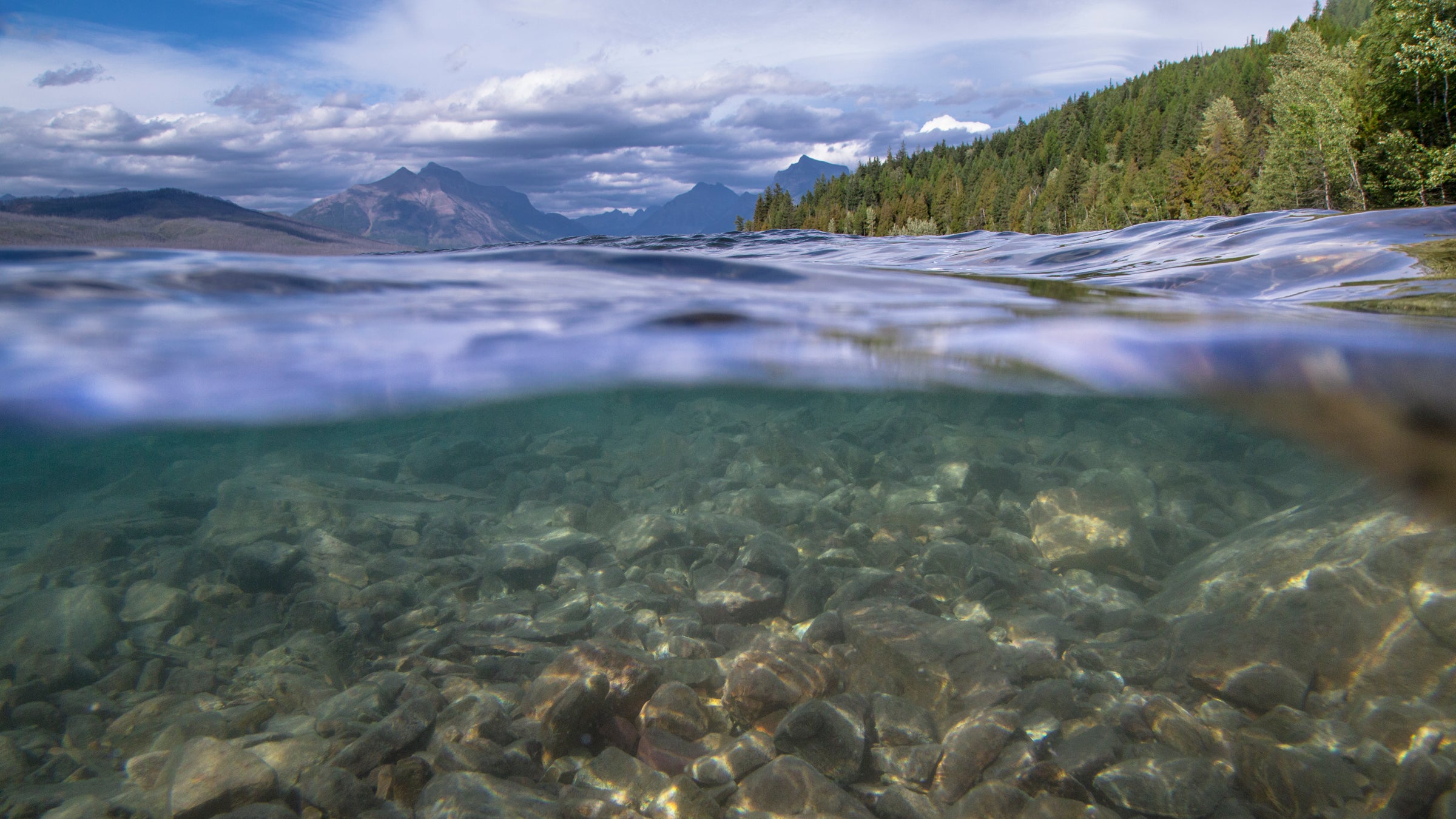 $1.5 Billion NPS Bill Introduced