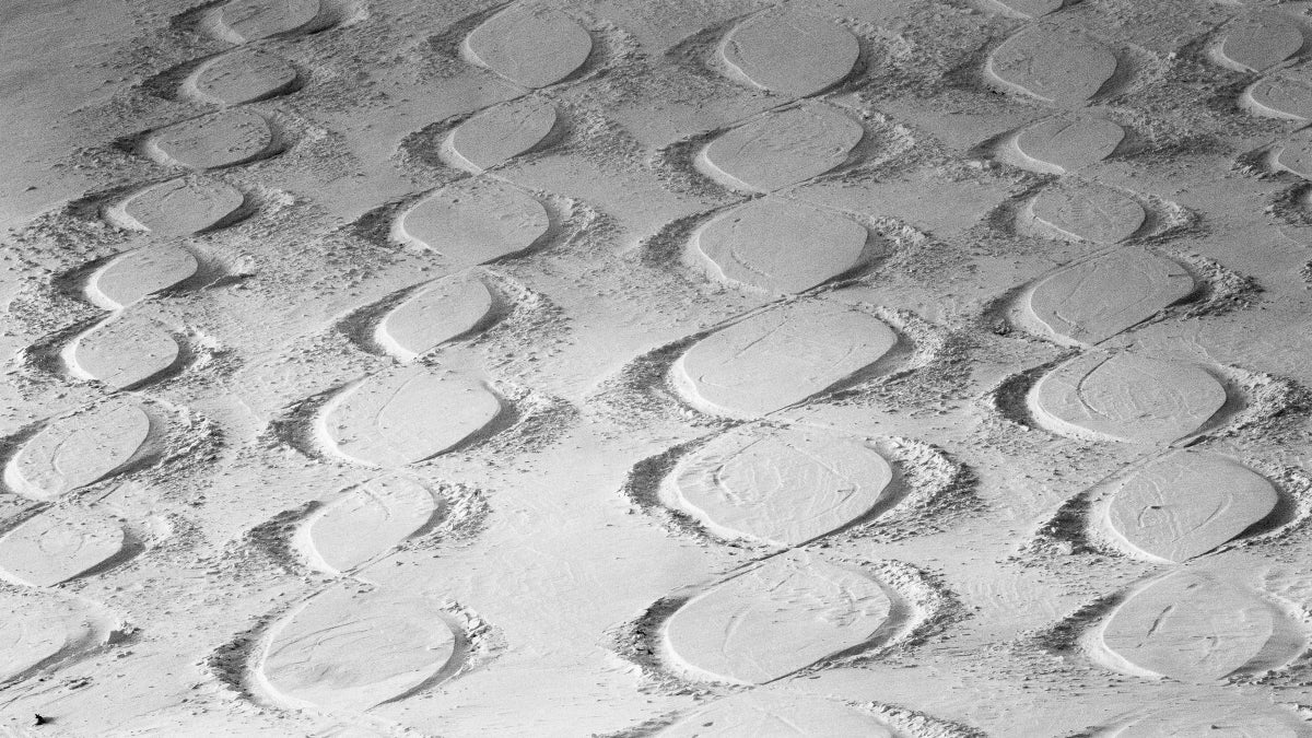 The Powder 8's Competition Shows How the Pros Ski When It’s Fresh and ...