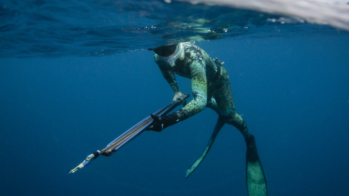 Watch Pro Surfer Mark Healey Tag Sharks for Science - Outside Online