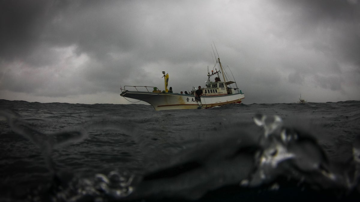Watch Pro Surfer Mark Healey Tag Sharks for Science - Outside Online