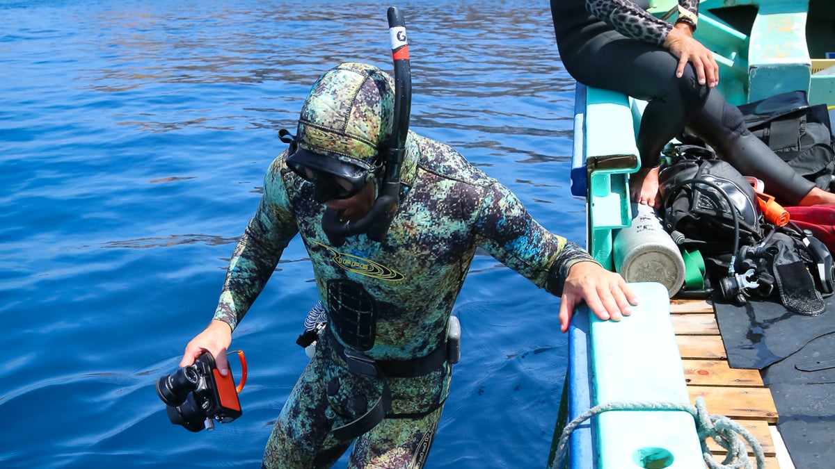 Watch Pro Surfer Mark Healey Tag Sharks for Science - Outside Online