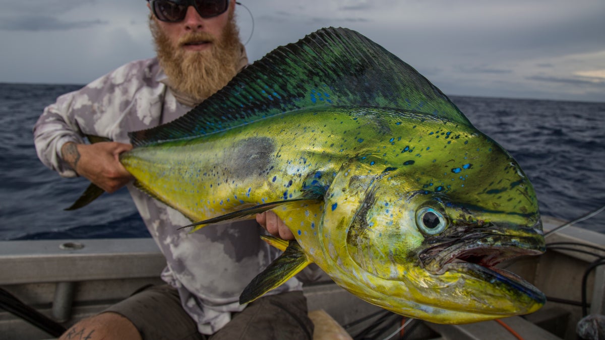 Unexplored, Imperfect, but Incredible Fishing in Samoa - Outside Online