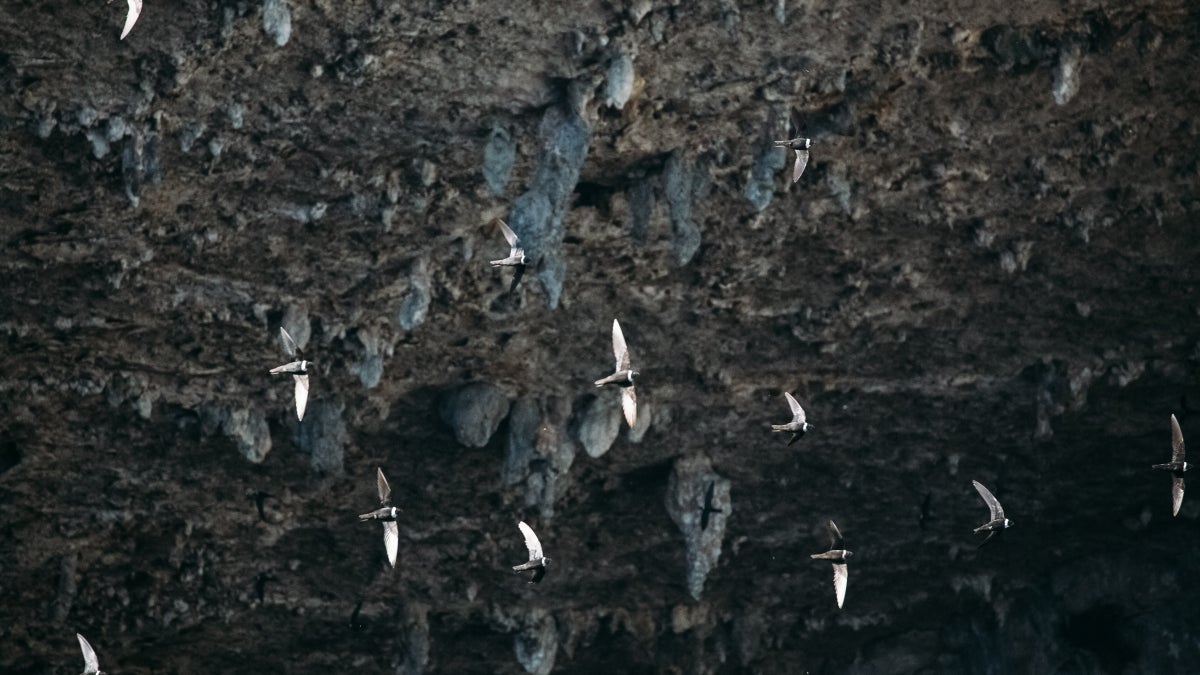 Exploring Mexico’s Caves—Some of the Deepest Pits in the World ...