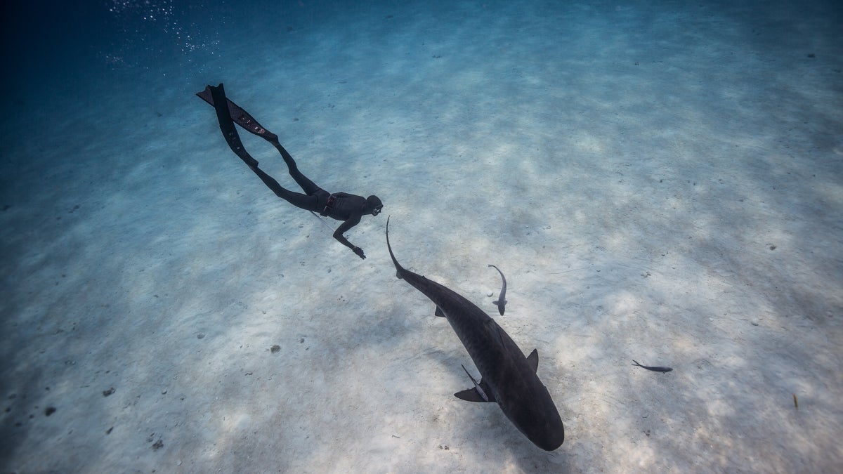 Hold Your Breath, These Freediving Photos Are Insane - Outside Online