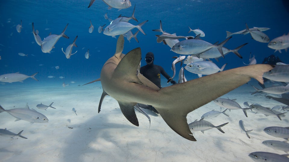 Hold Your Breath, These Freediving Photos Are Insane - Outside Online