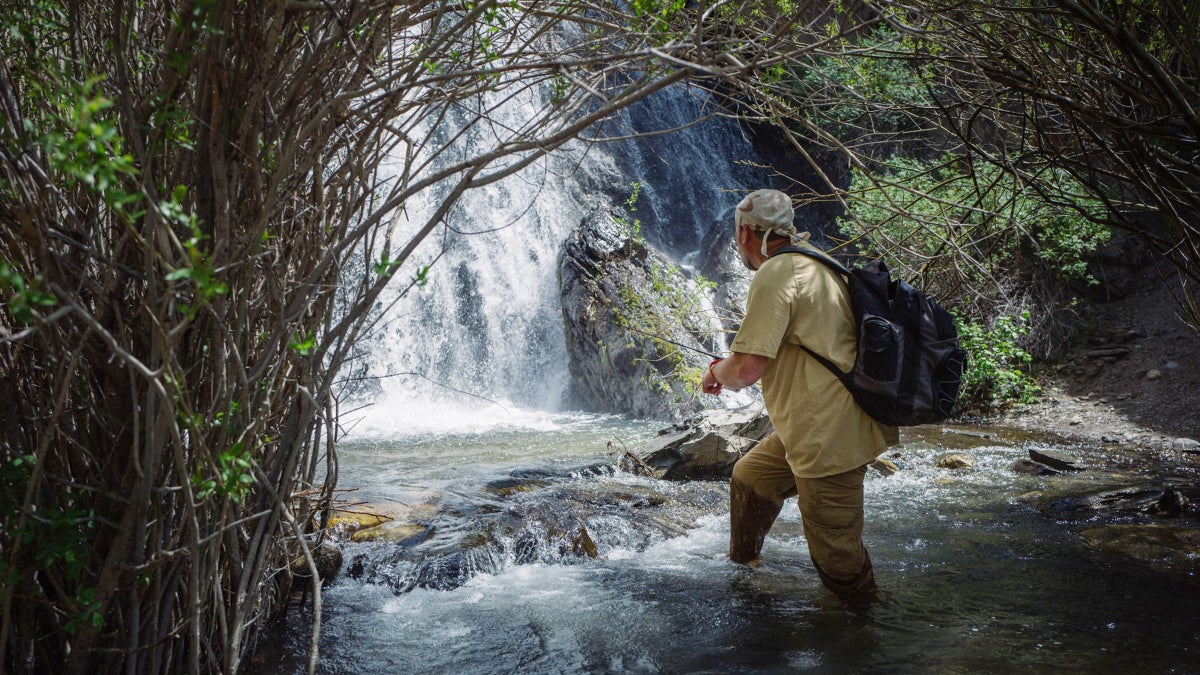 My Nevada: Steve MacMillan
