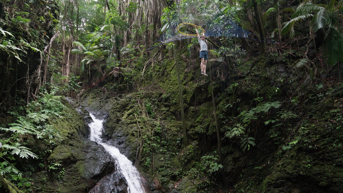Why Slackline in a Gym When You Could Slackline Over a Waterfall in ...