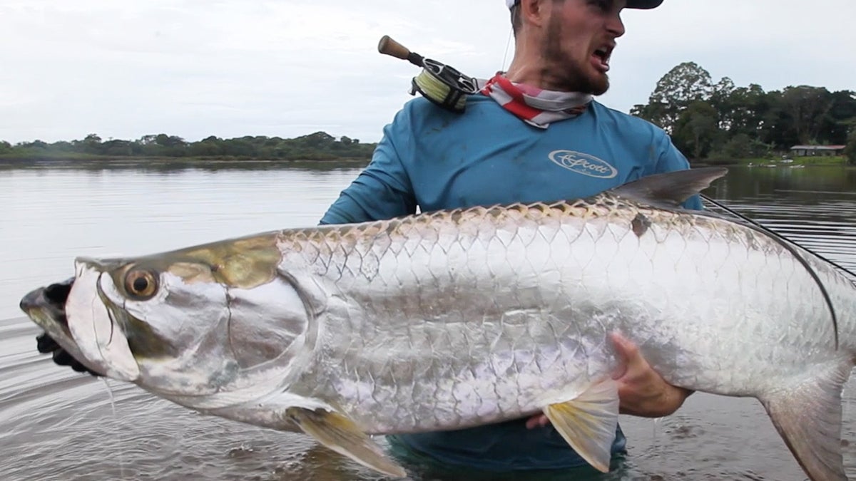This Monster Fish Haunts the Waters of Costa Rica - Outside Online