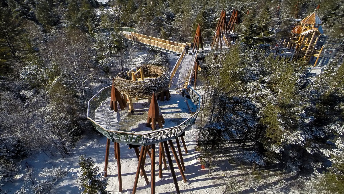 This Outdoor, Treetop Museum Is Unlike Any Other - Outside Online