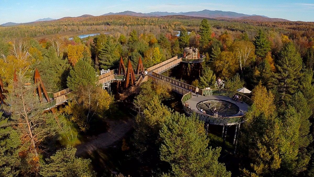 This Outdoor, Treetop Museum Is Unlike Any Other - Outside Online