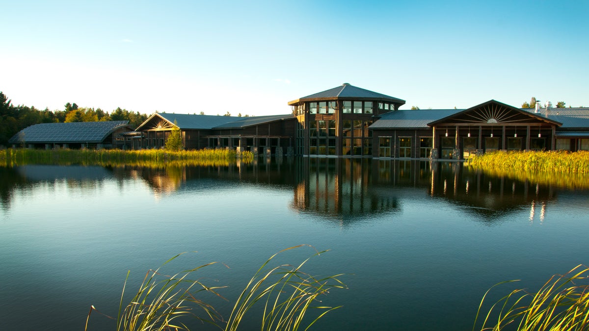 This Outdoor, Treetop Museum Is Unlike Any Other - Outside Online