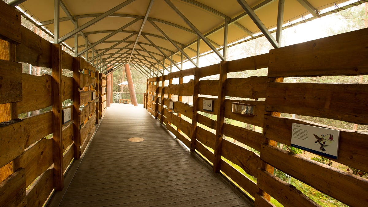 This Outdoor, Treetop Museum Is Unlike Any Other - Outside Online