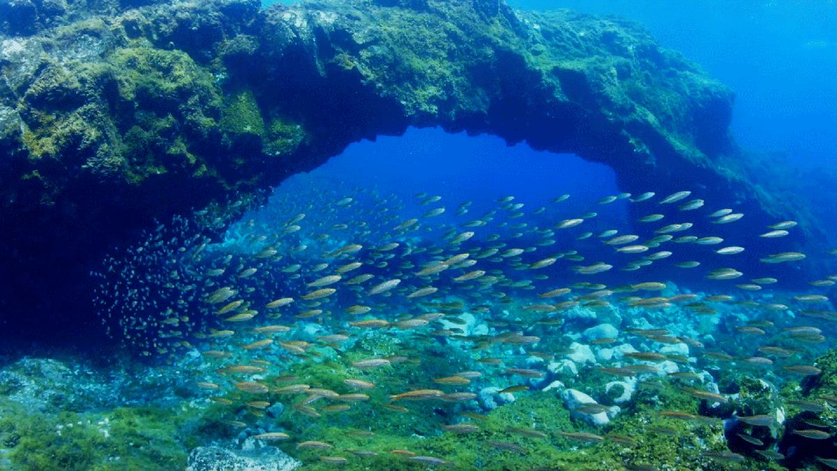 A Look Into the Depths of Our Oceans - Outside Online