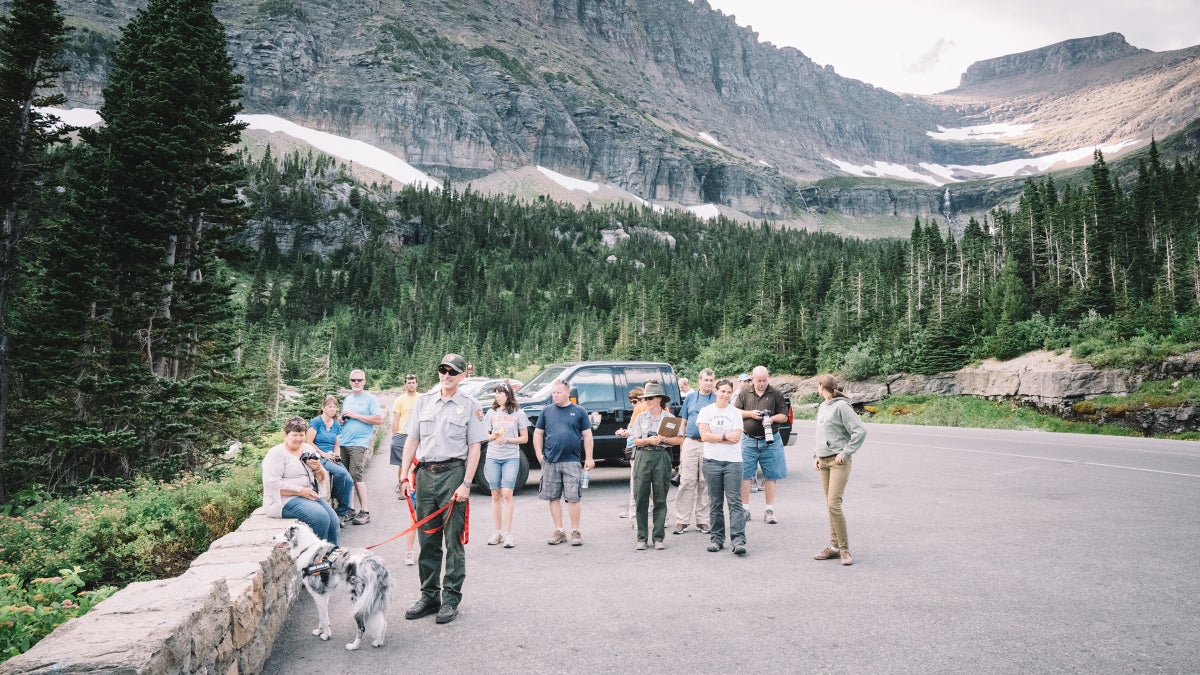 This Dog Is Out to Save National Park Wildlife - Outside Online