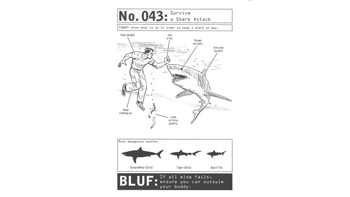 How to Survive a Shark Attack, Plus Skills for 9 Other Emergencies ...