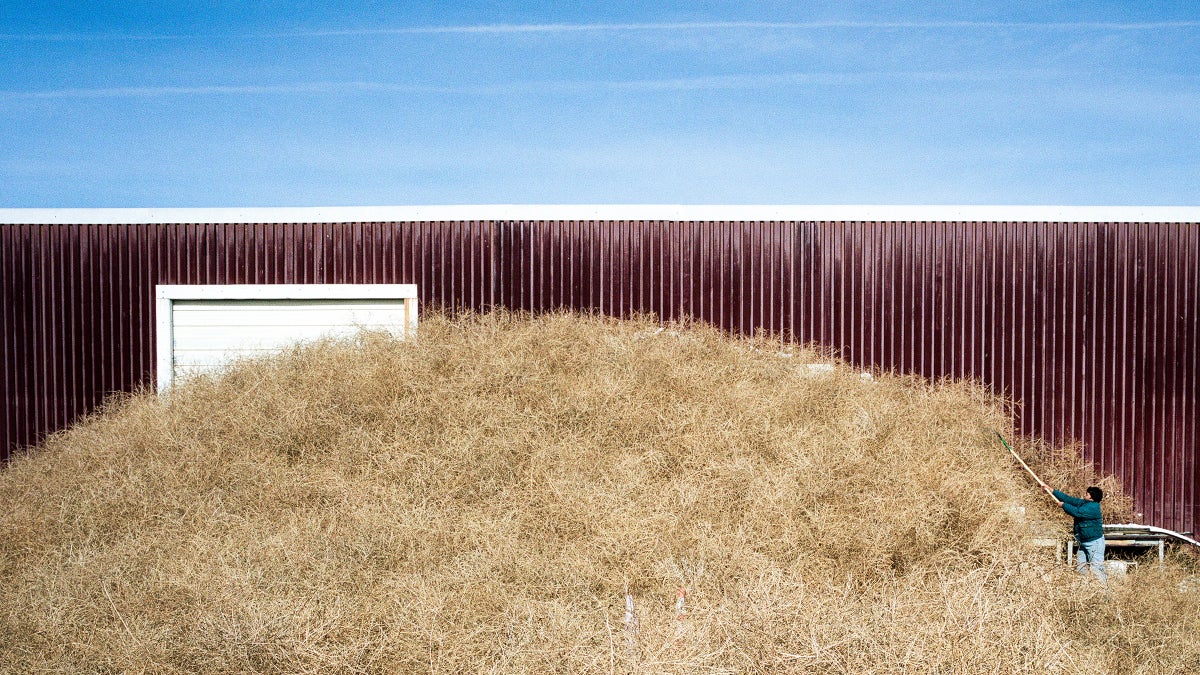 One Photographer’s Mission to Capture America’s Tumbleweed Invasion