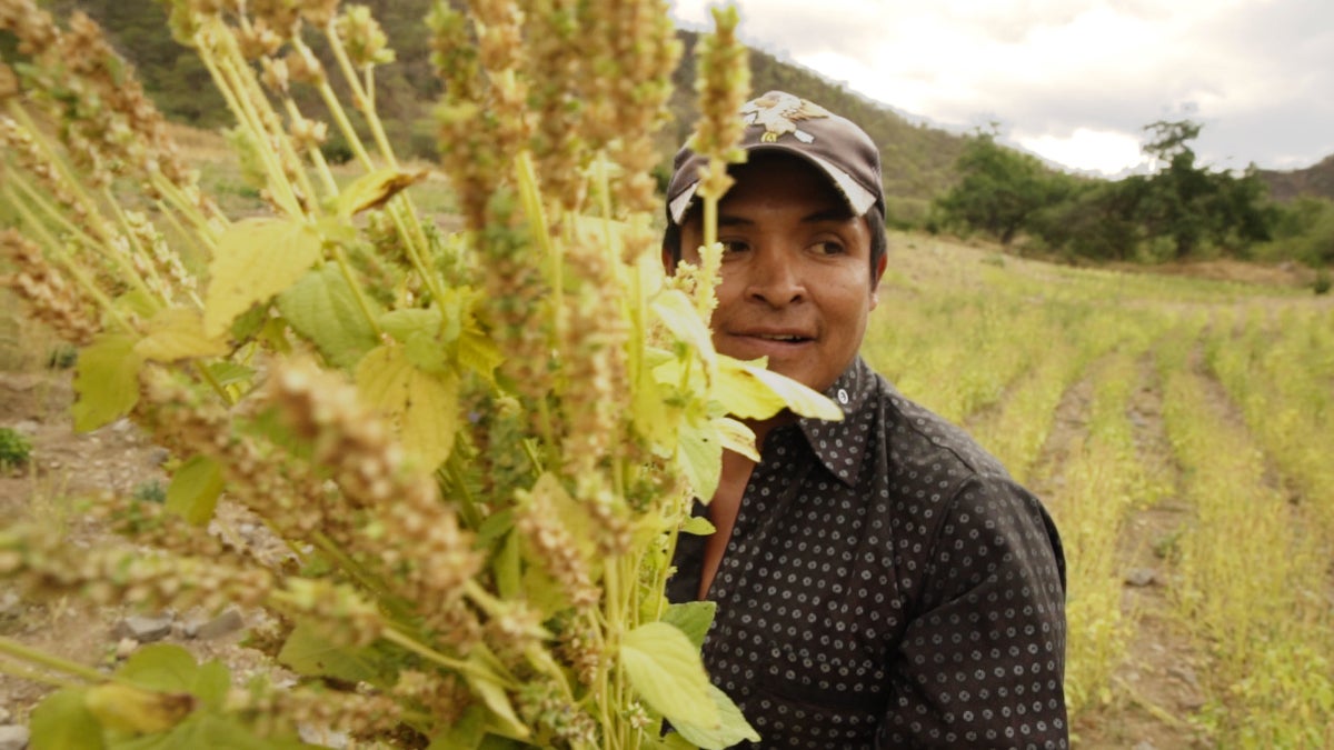 The World's Best Ultrarunners Want to Harness the Power of Chia