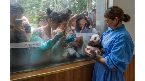 World Press Photo’s Best Nature Shots of 2016 - Outside Online