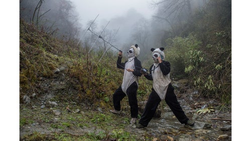 World Press Photo’s Best Nature Shots of 2016 - Outside Online