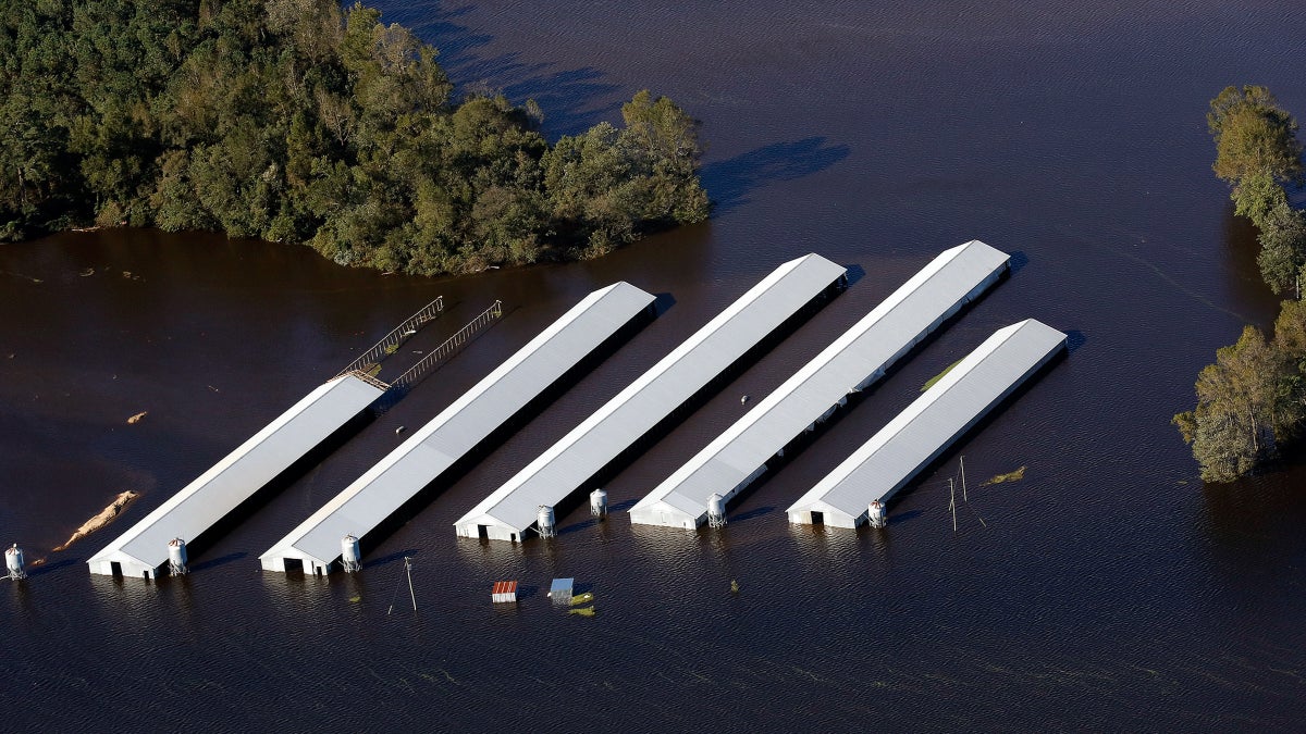 America’s 10 Most Threatened Rivers - Outside Online