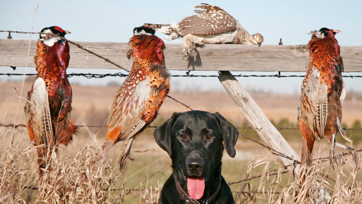 So You Want to Be a Hunter