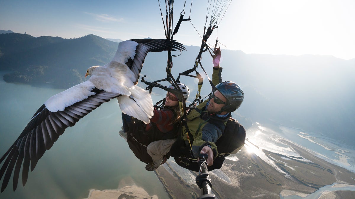 Parahawking Is the Closest You Can Get to Being a Bird - Outside Online