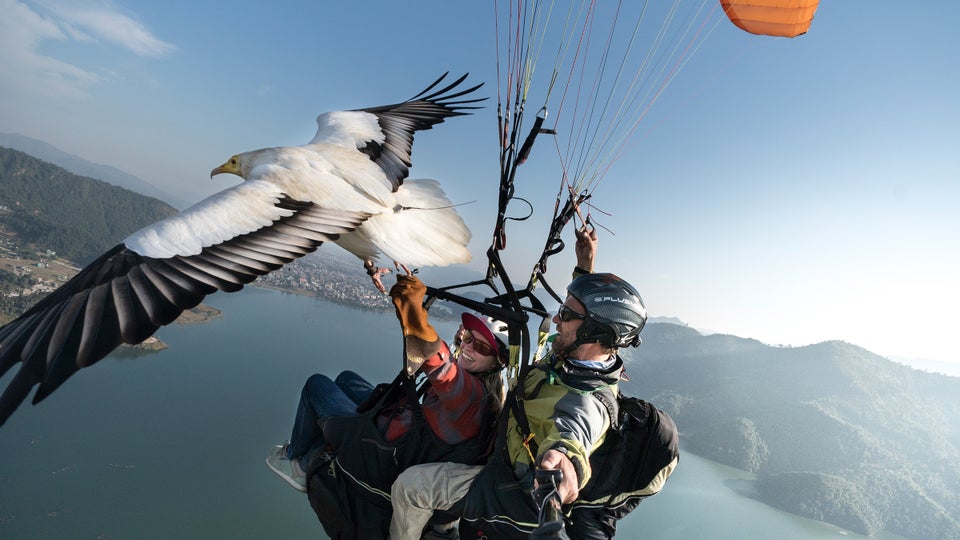 Parahawking Is the Closest You Can Get to Being a Bird - Outside Online
