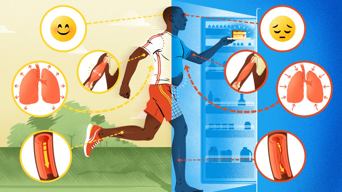 The Five Things That Happen to Your Body When You Quit Working Out