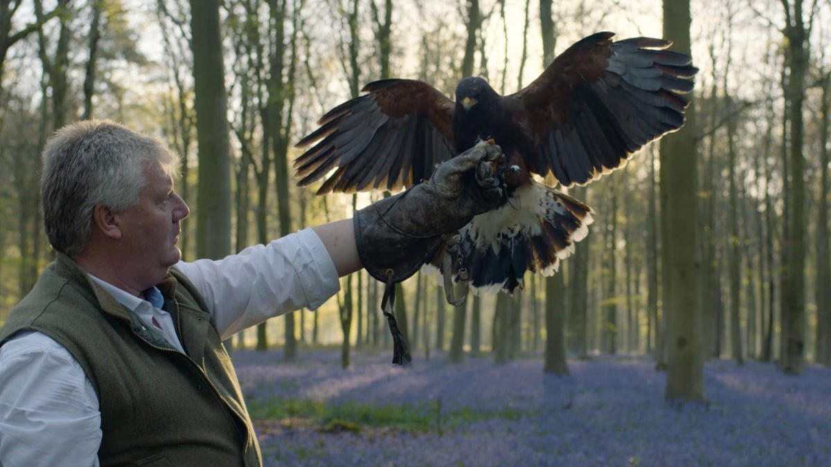 What It's Like to Be a Falconer in England - Outside Online