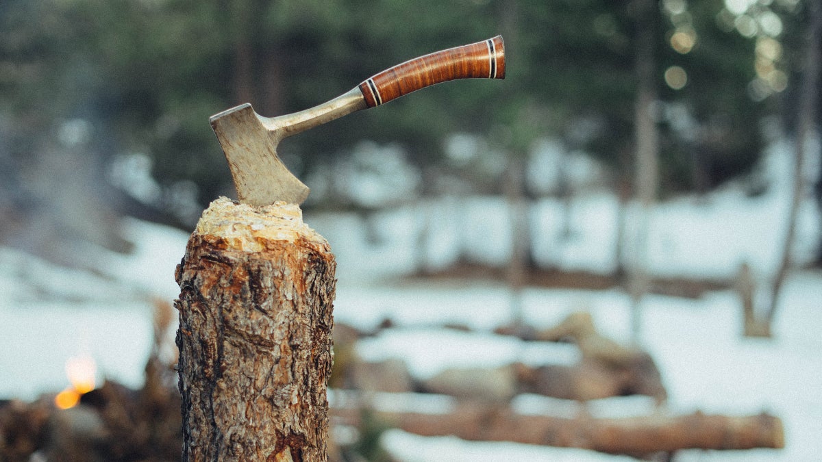 The Three Books That Taught Me How to Survive