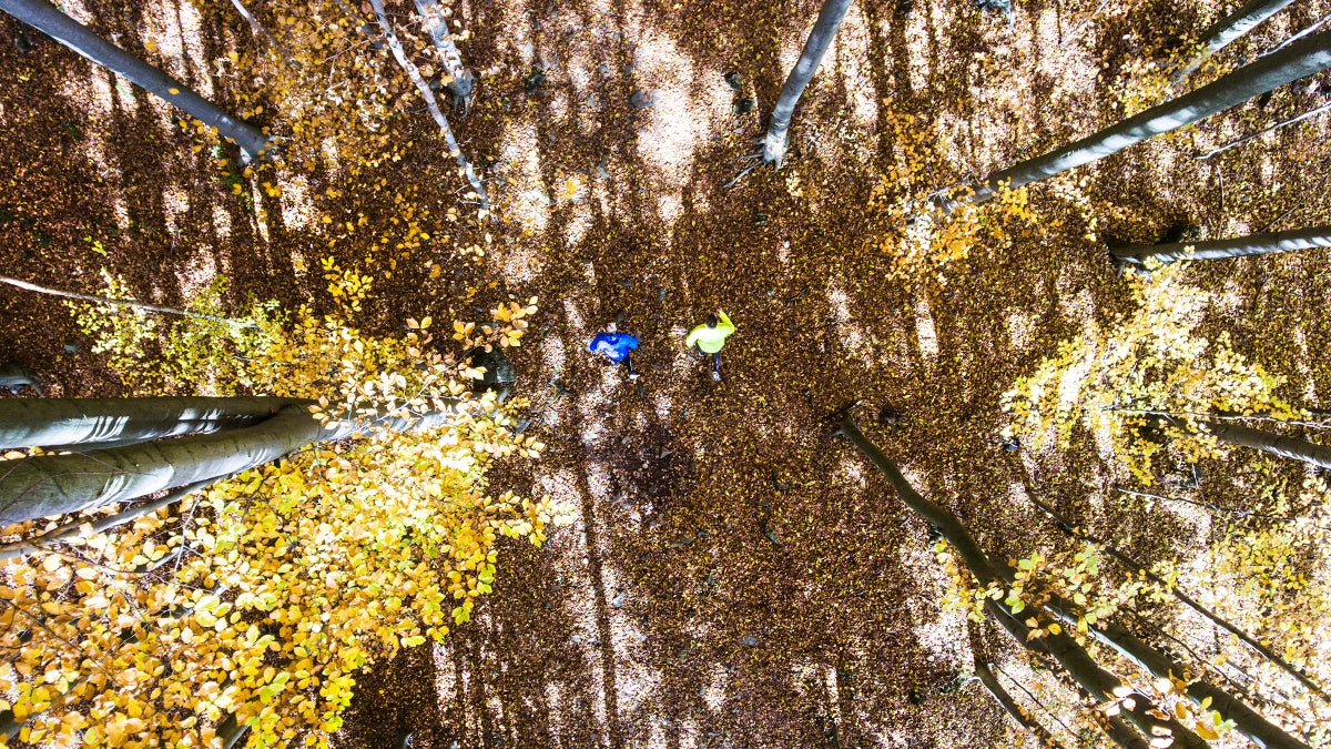 An Ode to Fall Running