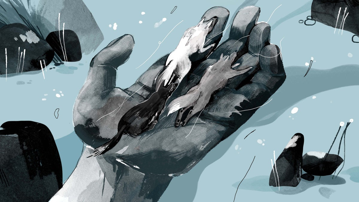 A Very Old Man for a Wolf