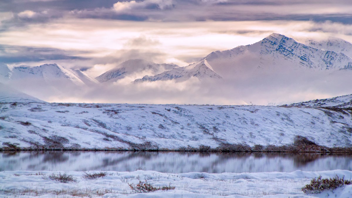 The ANWR Drilling Rights in the Tax-Reform Bill