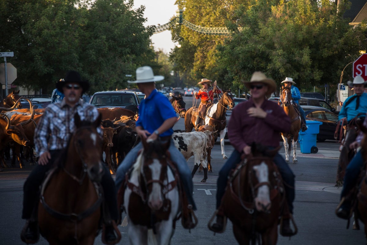 The 62-Year-Old Quintessential California Cowgirl - Outside Online