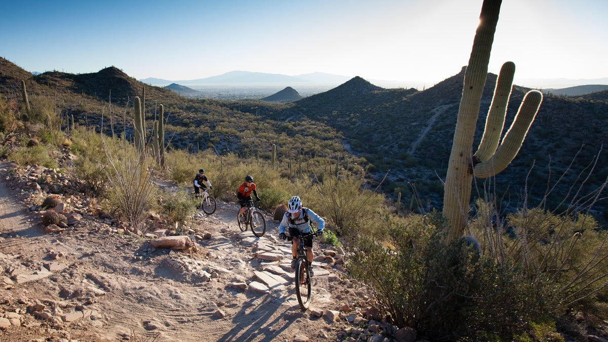 Deciding the Best Bikes of Next Season