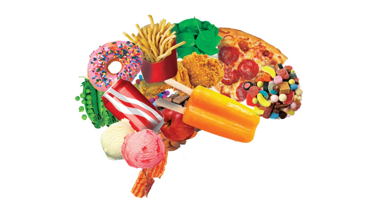 Your Hungry Brain Is Making You Fat - Outside Online