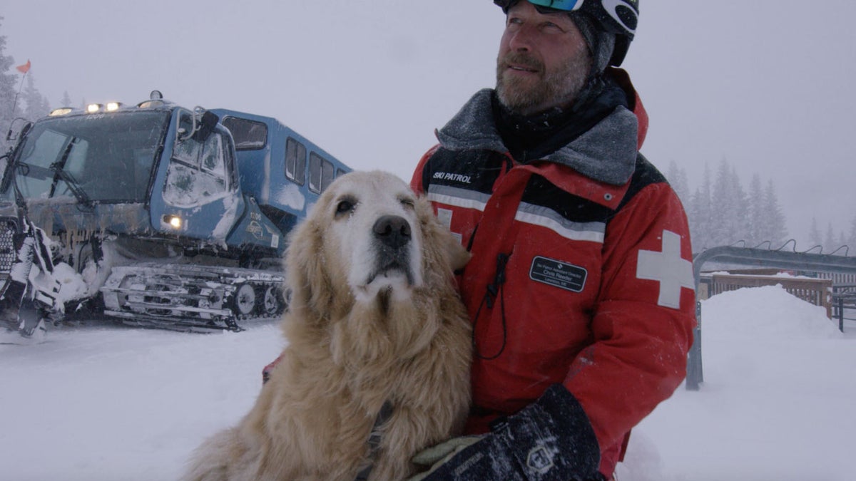 Vail's Most Beloved Dog - Outside Online