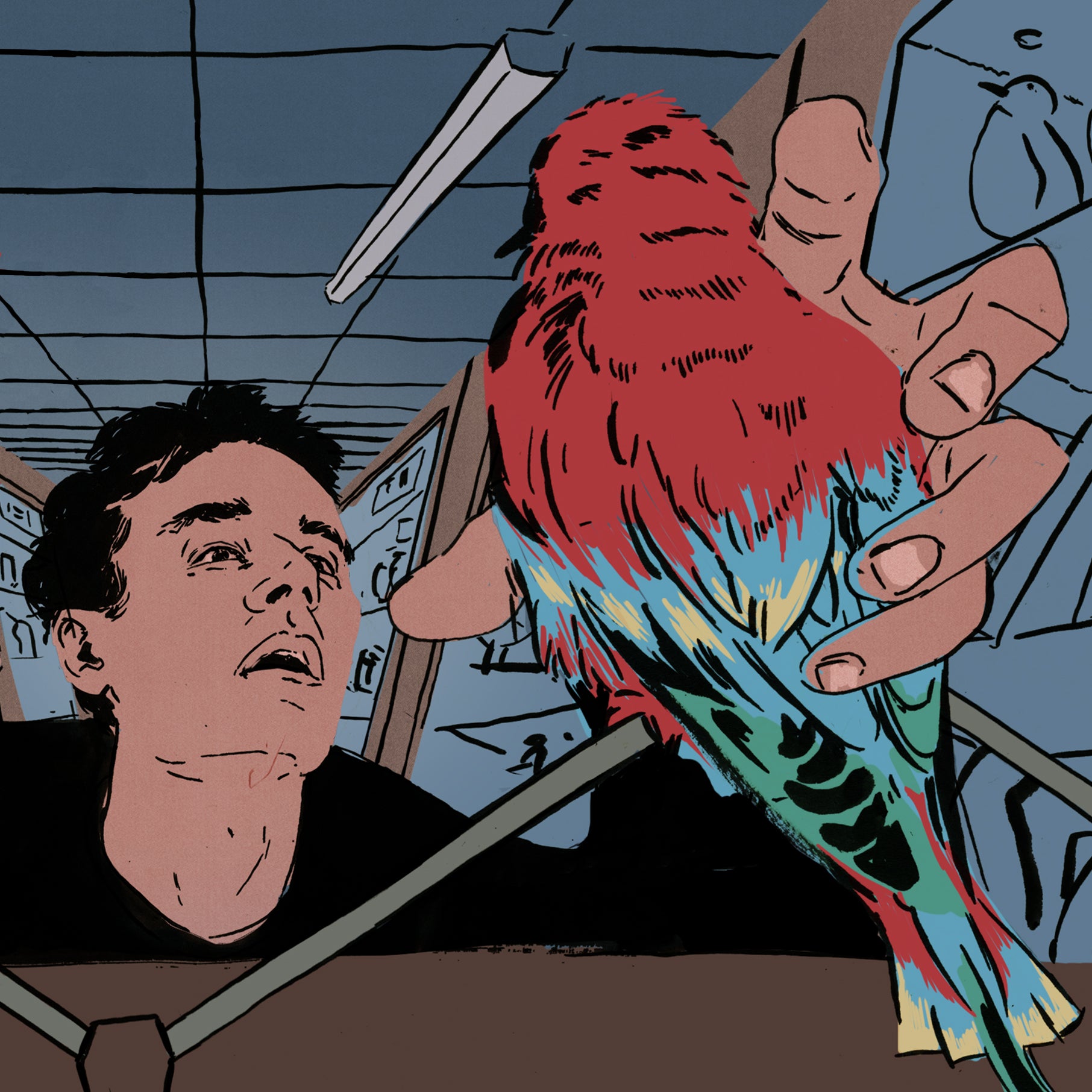 The Curious Case of the Fly-Fishing Feather Thief