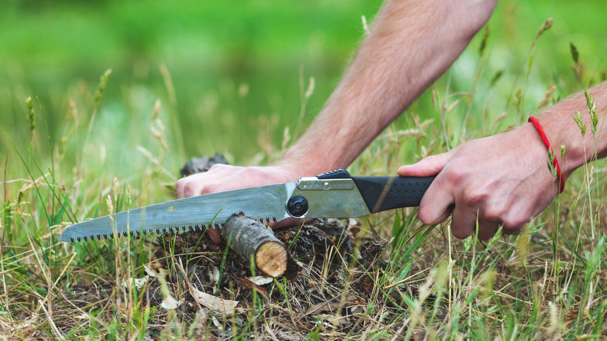 The Best Camping Saws, According to You