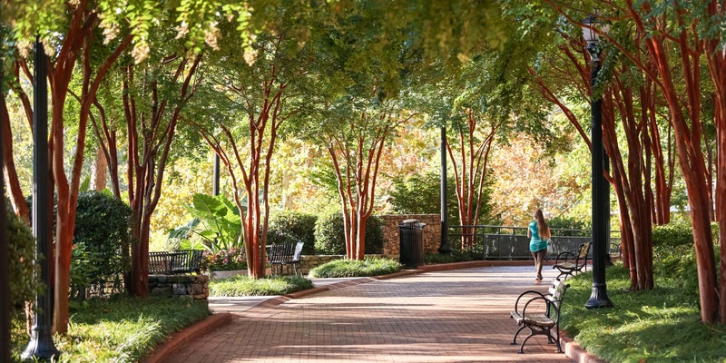 The 9 Most Scenic Urban Running Trails