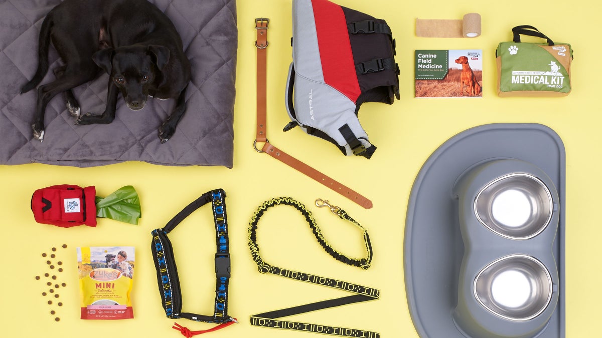 The Gear Outside Dogs Depend On