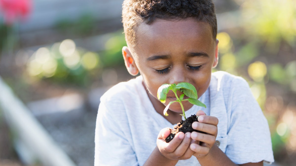 How to Teach Your Kids About Climate Change