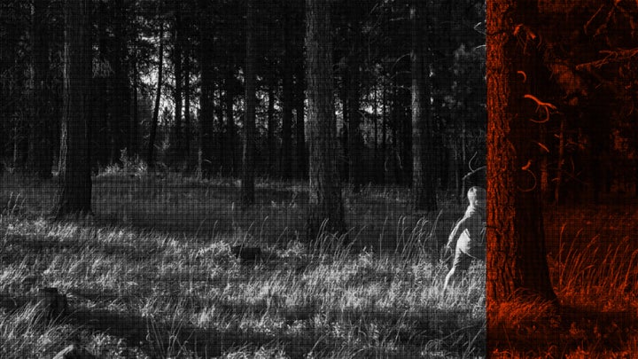 How a 6-Year-Old Survived Being Lost in the Woods