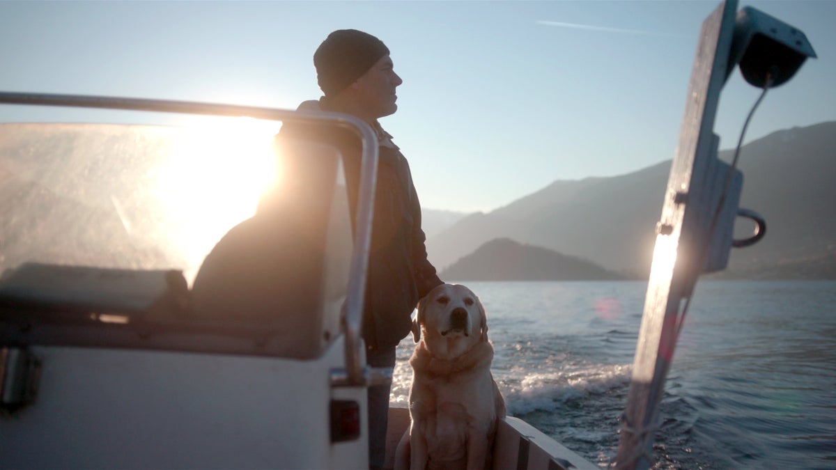 We Watched the 'Dogs' Netflix Series with Our Dogs