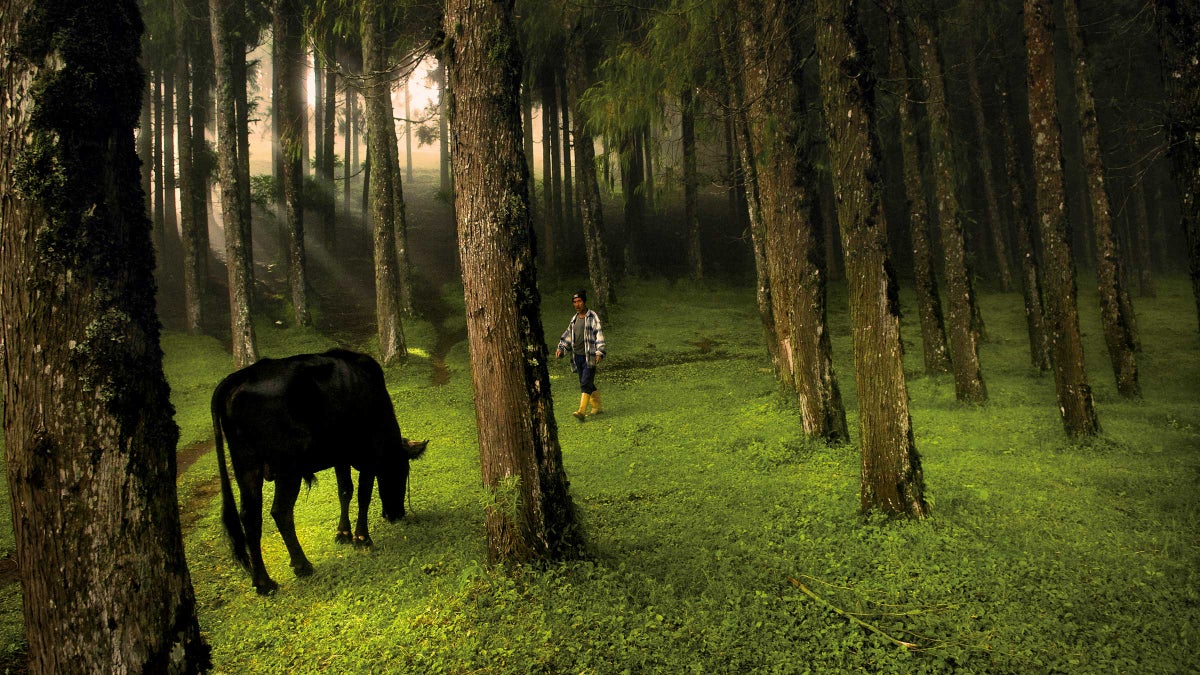 The Best Photo Books to Gift This Holiday Season