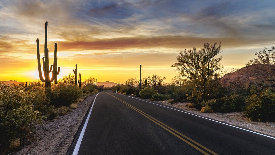 Learn More About Tucson and Southern Arizona